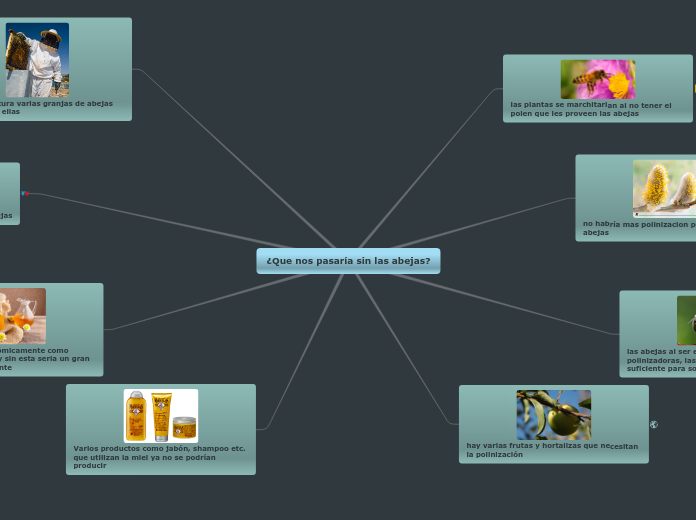 Central tema - Mind Map